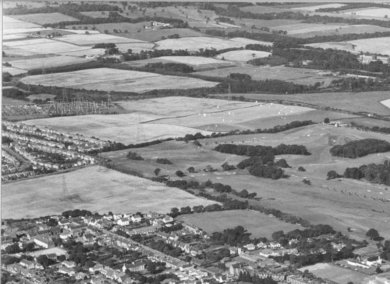 "Juniper Green 300: Home"