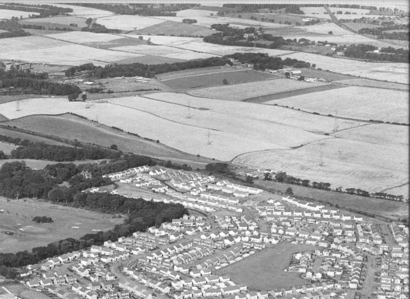 "Juniper Green 300: Home"