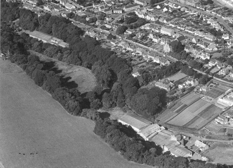 "Juniper Green 300: Home"